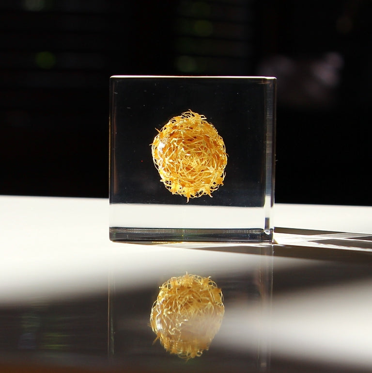 Basket Flower | Usagi no Nedoko | Sola Cube | Peter Fields