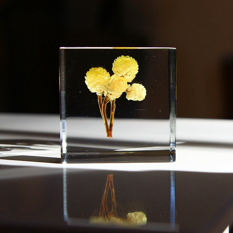 Immortelle | Usagi no Nedoko | Sola Cube | Peter Fields