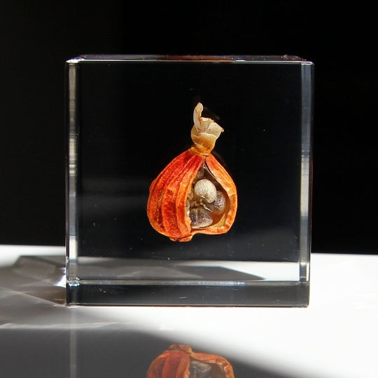 Living - Peter Fields – Seite 4