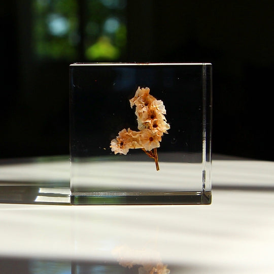 Living - Peter Fields – Seite 4